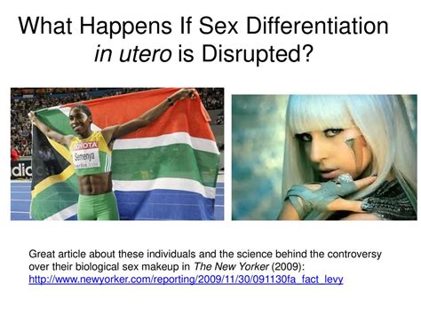 Sex Differentiation And Dimorphism Ppt Download