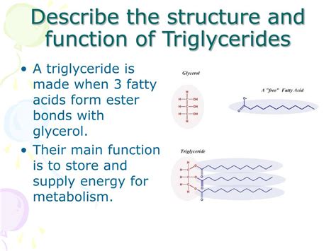 PPT Lipids And Membrane Structure PowerPoint Presentation Free Download ID