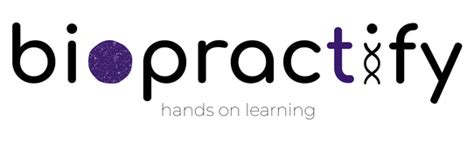 Biopractify Ultimate Platform For Hands On Learning In Ai Ml Python