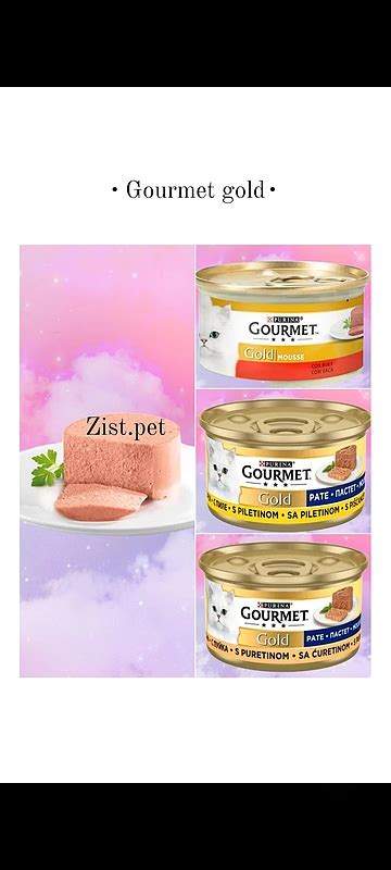 پت شاپ شبانه روزی زیست پت کنسرو گورمت گلد پته 3 عددی