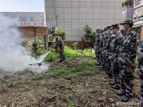 安康平利县人武部扎实开展民兵教练员骨干集训能力质量全县