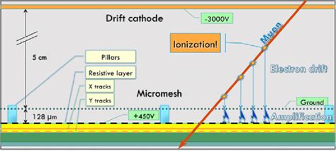 Schematic Cross Section Of The Detector With Its Characteristic Download Scientific Diagram