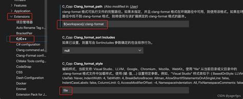 代码规范：基于clang Format静态扫描实践总结vscode Clang Format代码扫描 Csdn博客