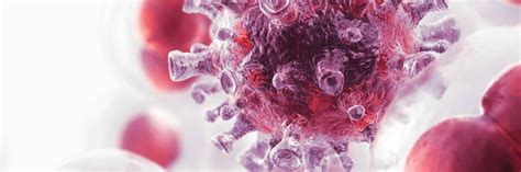 Prevalence Of Genital Human Papillomavirus By Age And Raceethnicity