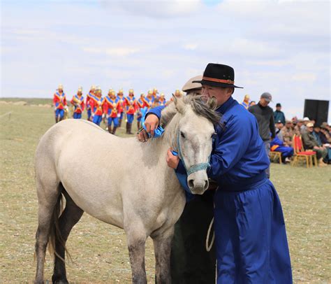 АЛТАН ХӨХИЙ ХАЙРХАН УУЛЫН ТЭНГЭРИЙГ ТАЙХ ТӨРИЙН ТАХИЛГЫН ЁСЛОЛ УТГА ТӨГӨЛДӨР САЙХАН БОЛЛОО