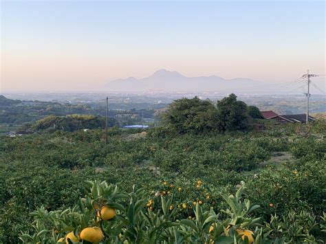 筒ヶ岳・観音岳 油山平治さんの小岱山（筒ヶ岳）・観音岳・丸山の活動データ Yamap ヤマップ