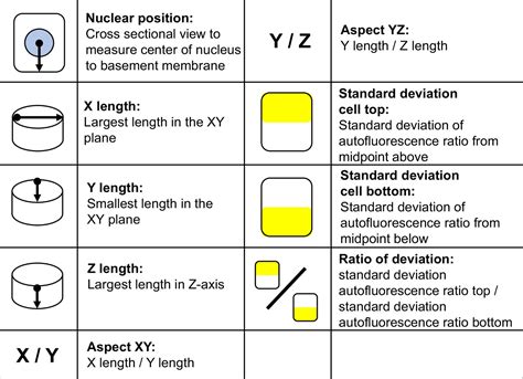 Figures And Data In Autofluorescence Imaging Permits Label Free Cell Type Assignment And Reveals