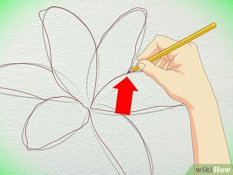 Ways To Draw A Lily WikiHow