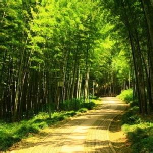 云栖竹径 云栖竹径值得去吗 门票价格 游玩攻略 排行榜123网