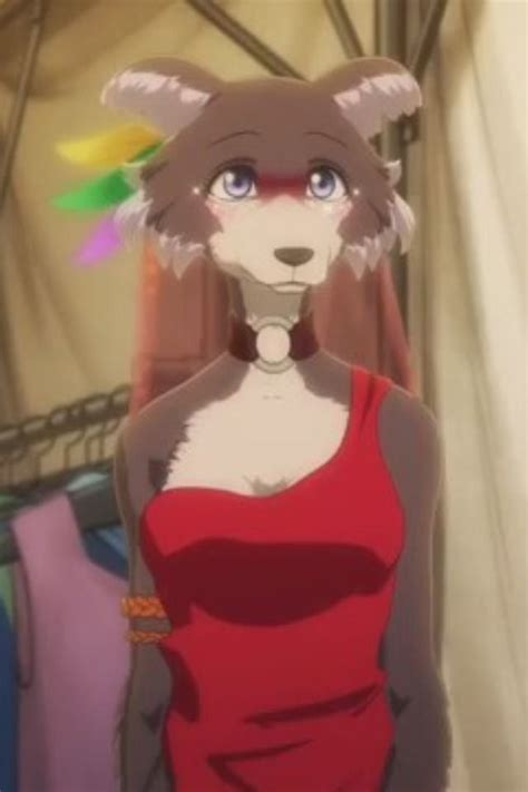 Juno Anime Beastars Birthday February 12 Anime Animals Furry