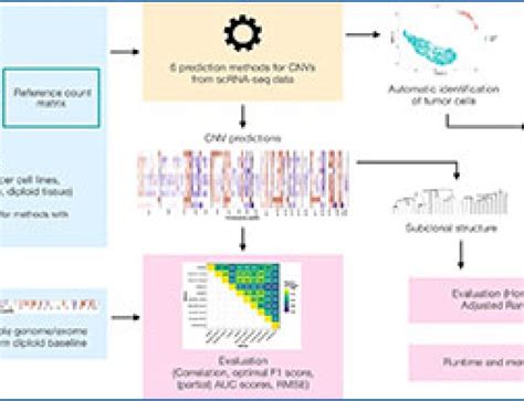 Seuratextend Streamlining Single Cell Rna Seq Analysis Through An Integrated And Intuitive