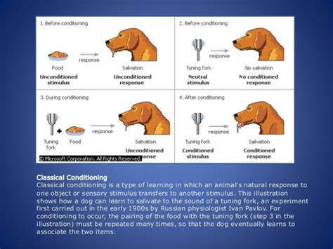Presentation On Classical Conditioning