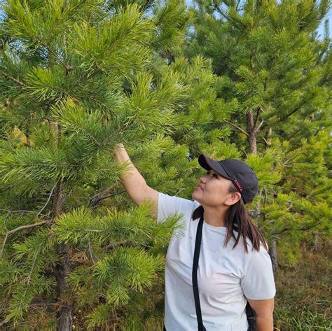 Сүхбаатар аймгийн Наран сумын ЕБС Эрхэм баян эрдэм мэдлэгийг түгээн