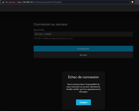 Jellyfin Linterface Ingress Est Elle Utileutilisable · Issue 459