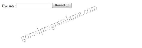 Gorsel Programlama Form Oluşturma Html Web Tasarımı Ve Programlama Ders 6