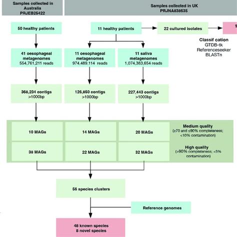 Analytical Workflow The Core Bioinformatic Flow Diagram Download Scientific Diagram