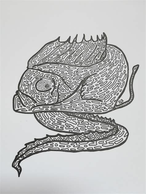 My Oarfish Drawing