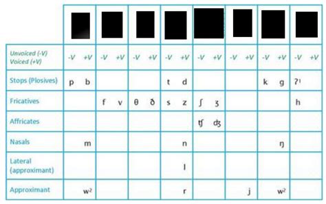Consonant Chart Place Of Articulation Diagram Quizlet
