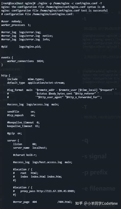 Nginx 常用命令 知乎