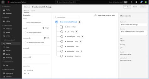 Create A Dataflow For Braze Data In The Ui Adobe Experience Platform