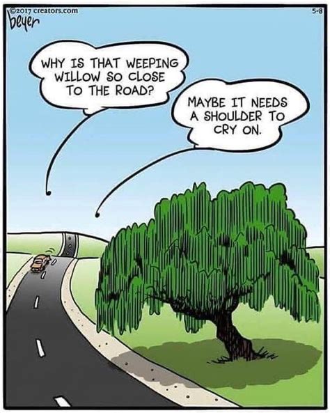 Funny Quotes About Road Funny Memes About Roads Fork In The Road