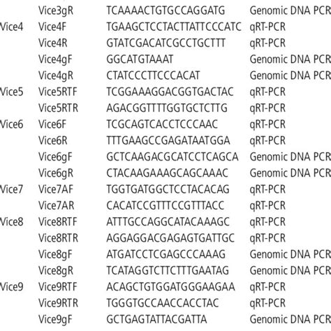 Primers Used In This Study Gene Name Primer Name Primer Sequence