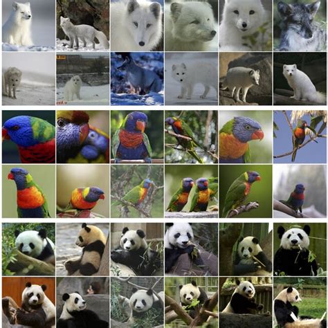 Figure D1 Selected Class Conditional Samples From A Model Trained On Download Scientific