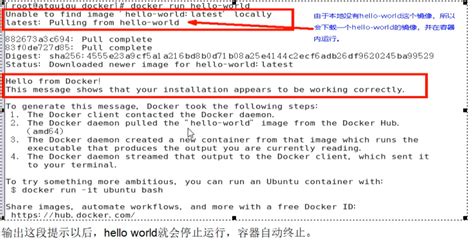 Docker测试运行hello world镜像 The C 博客园