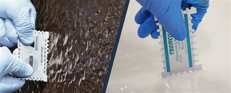 Aiw Technical Bulletin Wft Vs Dft Wtf