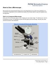 How To Use A Microscope Resource Pdf Human Body Systems How To Use A Microscope