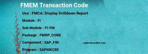 FMEM SAP Tcode For FMCA Display Drilldown Report
