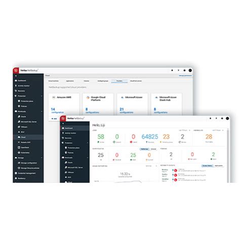 netbackup platform فناوری رایانه ایده نگر