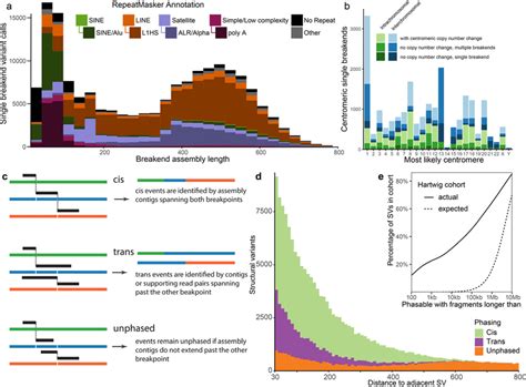 Classification Of Single Breakends And Structural Variant Phasing A