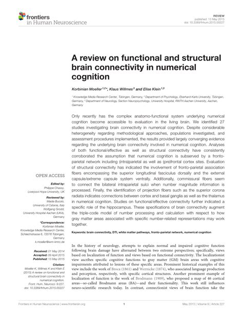 Pdf A Review On Functional And Structural Brain Connectivity In