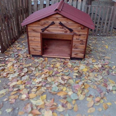 ძაღლის სახლები