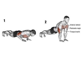 Tricep Pushups PPT
