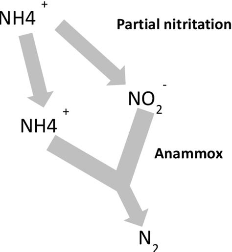 Figure 1 From The Effect Of Influent Characteristics And Operational Conditions Over The