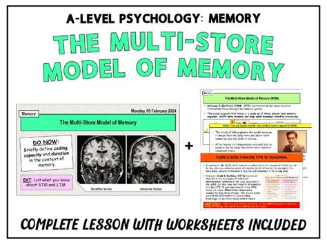A Level Psychology The Multi Store Model Of Memory Memory Topic