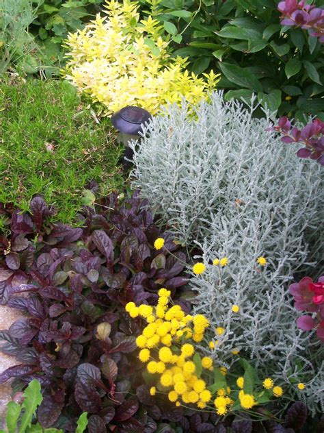 Озеленяване на дома и Озеленяване на дома и градината