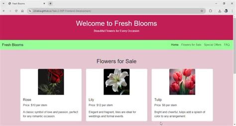 Rabia Kabir On Linkedin Digitalempowermentnetwork Frontenddeveloper