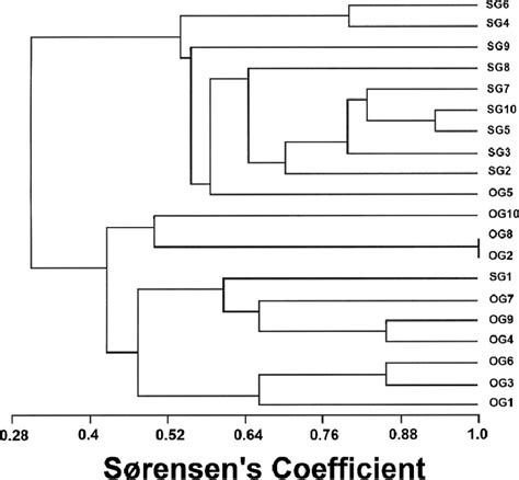 Unweighted Pair Groups Method Using Arithmetic Averages Upgma