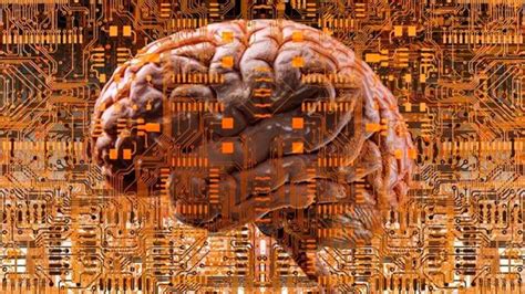 Best Neural Networks Courses And Certificates [2025] Coursera Learn Online