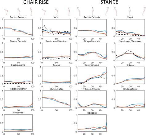 Figure 2 From A Lower Extremity Model For Muscle Driven Simulation Of Activity Using Explicit