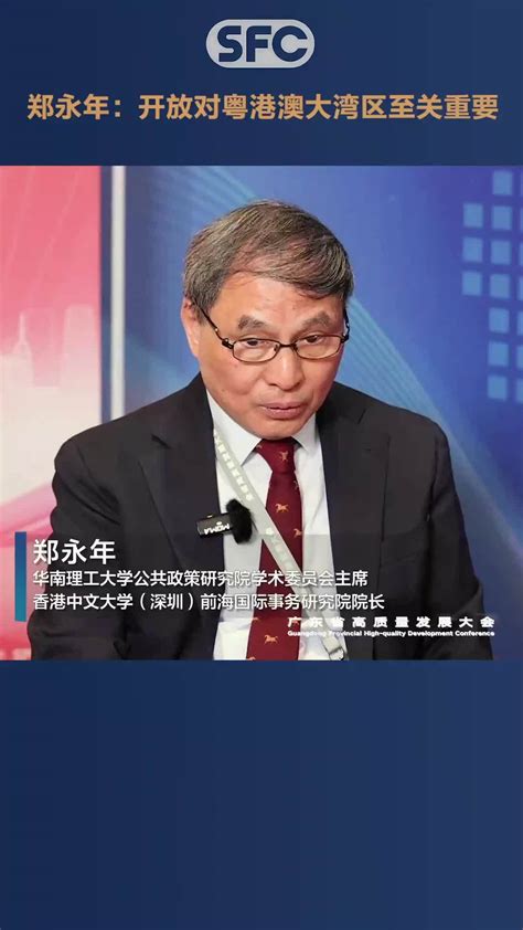 全球财经连线｜郑永年解读龙年广东第一会：开放对粤港澳大湾区至关重要凤凰网视频凤凰网