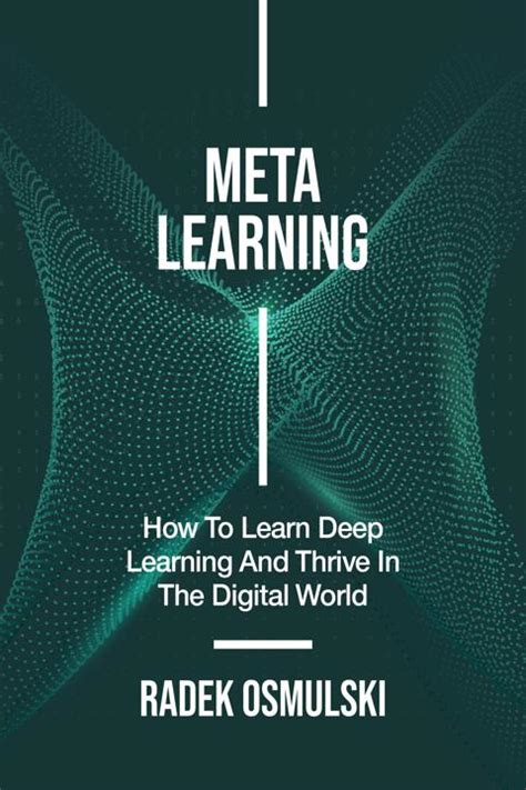 Meta Learning Chapter Summary Radek Osmulski