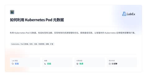 如何利用 kubernetes pod 元数据 labex