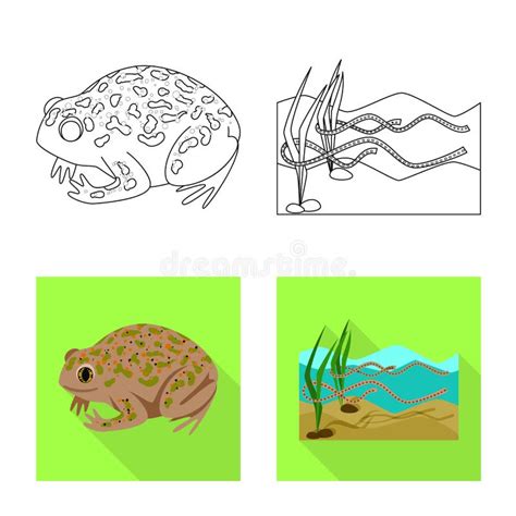 Isolated Object Of Wildlife And Bog Icon Set Of Wildlife And Reptile