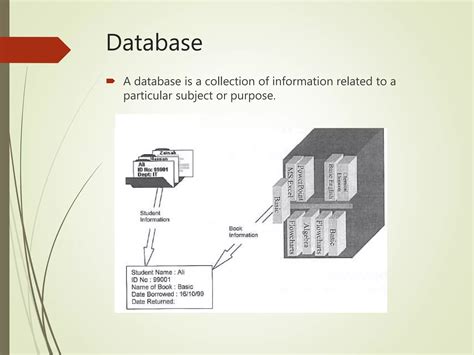 Week 05 Designing Database And Tables Ppt