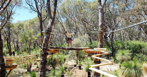 Trees Adventure Yanchep National Park Buggybuddys Guide To Perth