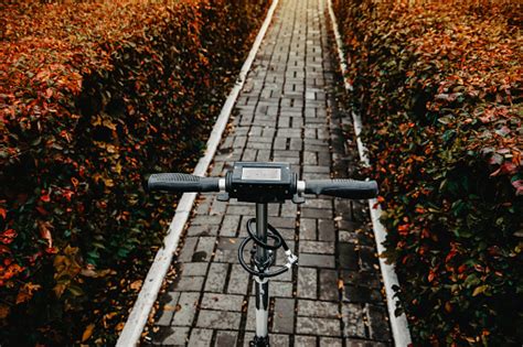 도시 공원에서 가을에 전기 스쿠터를 타고 추운 날씨에 환경 친화적 인 교통 0명에 대한 스톡 사진 및 기타 이미지 0명 가을 거리 Istock